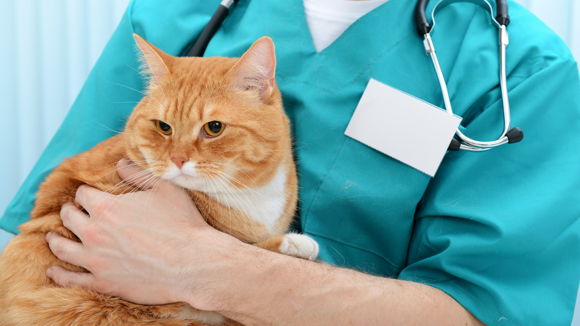 Cincinnati, OH 45255 Veterinary Jobs | CVSWC