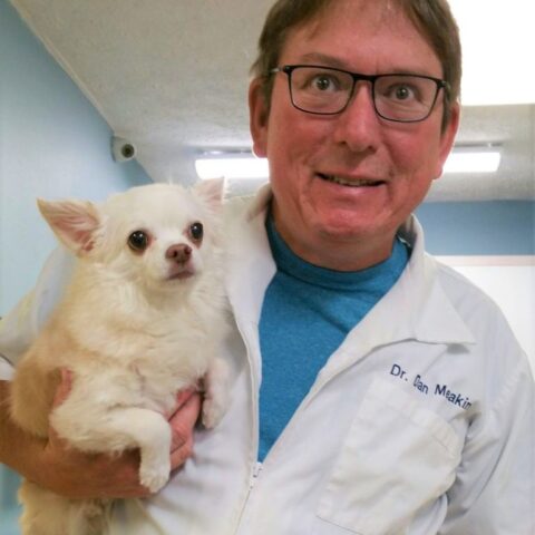 Best Veterinary Hospital In Cincinnati, OH 45255 | CVSWC