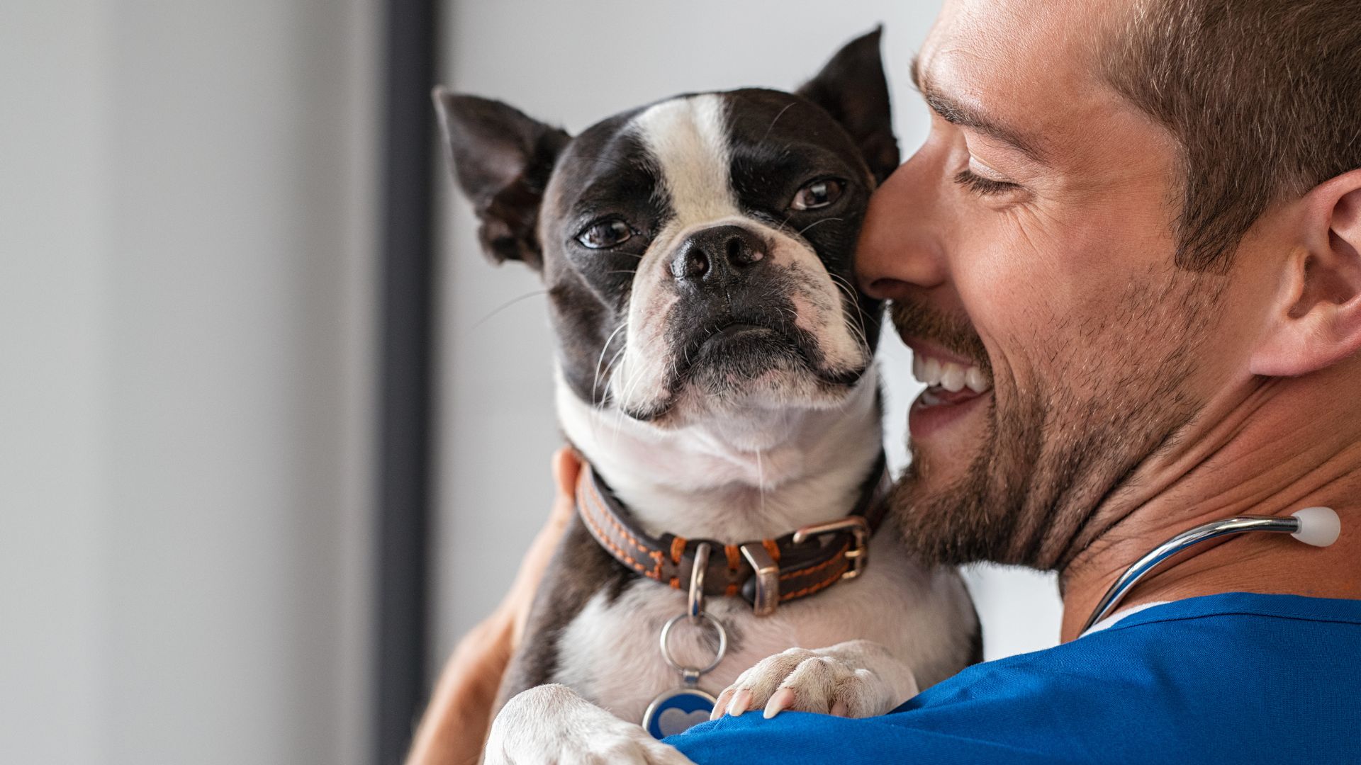 Pet Credit Cards | Cincinnati Veterinary Surgical And Wellness Center